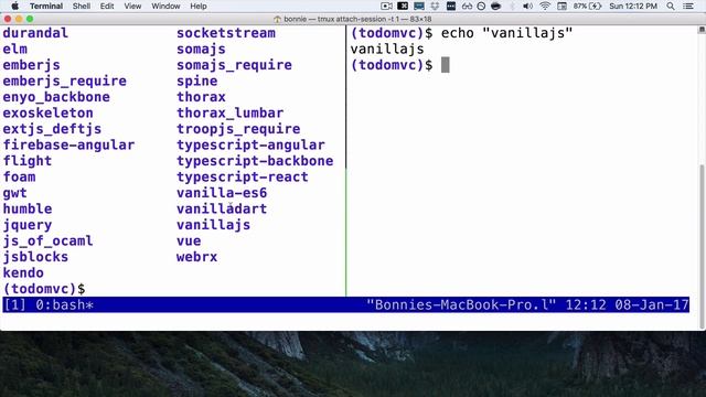 [Egghead] Wrangle your terminal with tmux (2021) [Bonnie Eisenman]