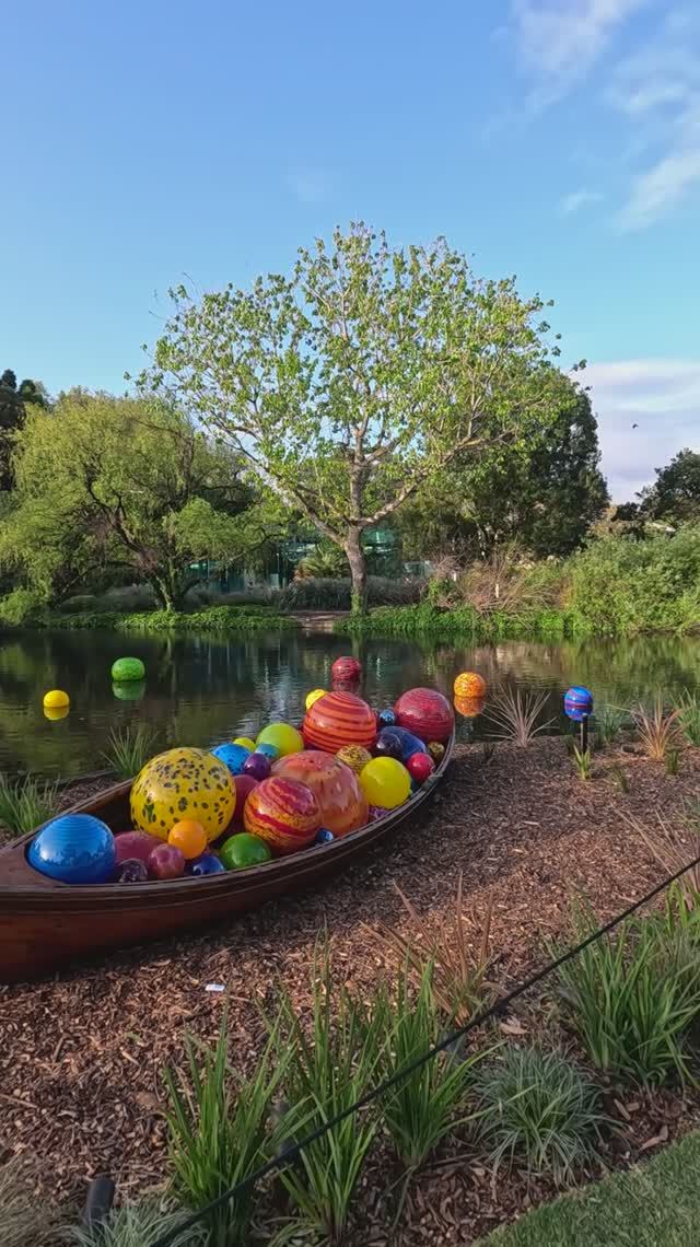 Прогулка по городскому ботаническому саду вдоль живописного озера с футуристическими декорациями.