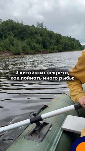 Кто расшифрует секреты?