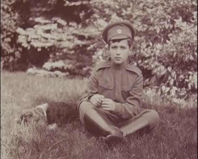 Цесаревич Алексей