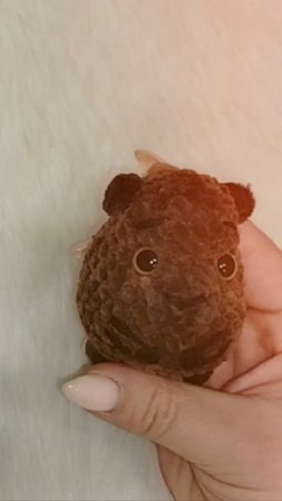 капибарный привет ❤️