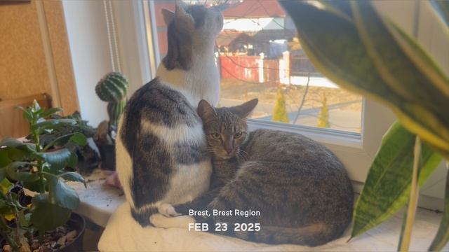 1SecondEveryday – смотреть онлайн все 1 видео от 1SecondEveryday в хорошем качестве на RUTUBE