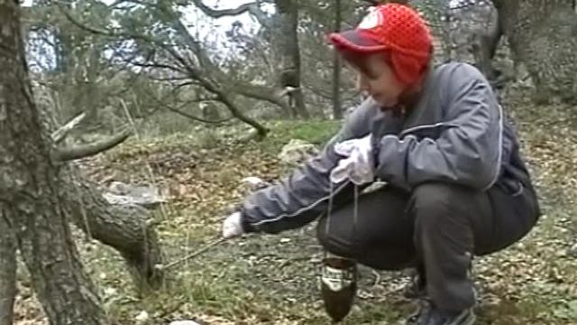2002. Сарыч. Шелкопряд
