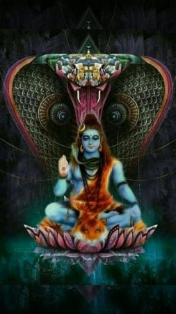 Nageshwar Mahadev Tera Roop Nirala hai/#shorts /# status