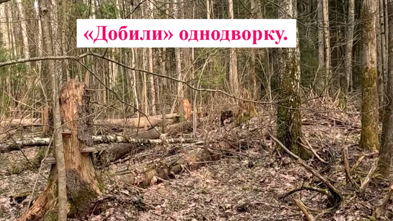 Вернулись на однодворку.