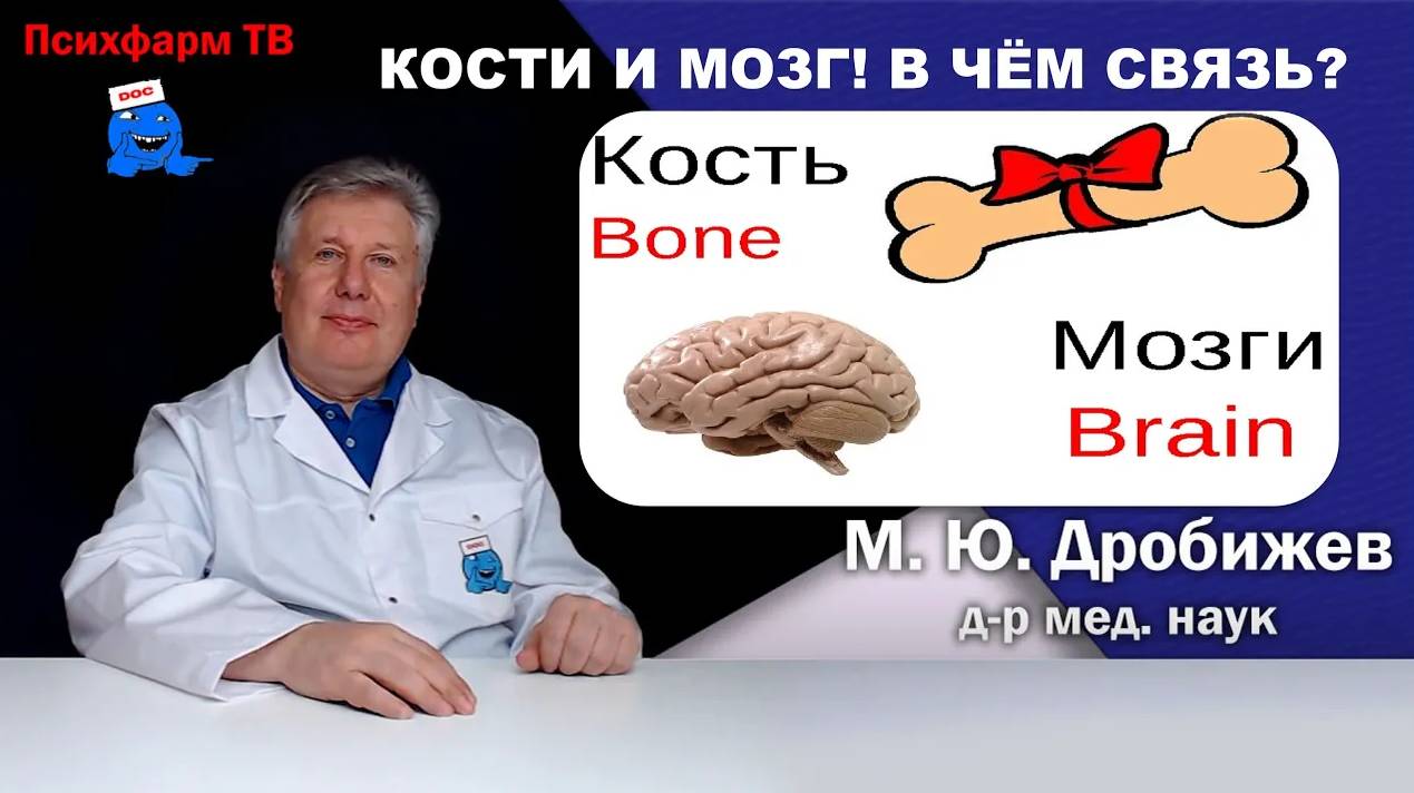 Кости и мозг! В чём связь?