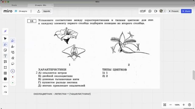 11 задание ОГЭ по биологии