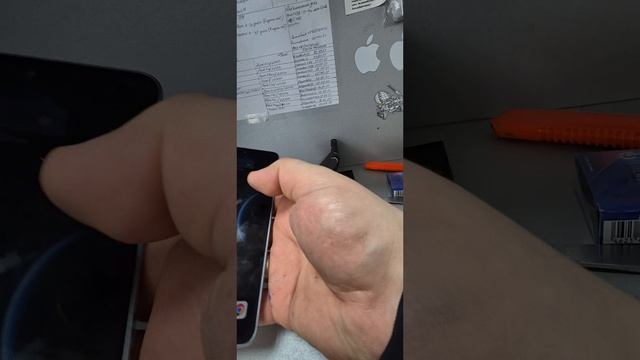 1000003999.mp4