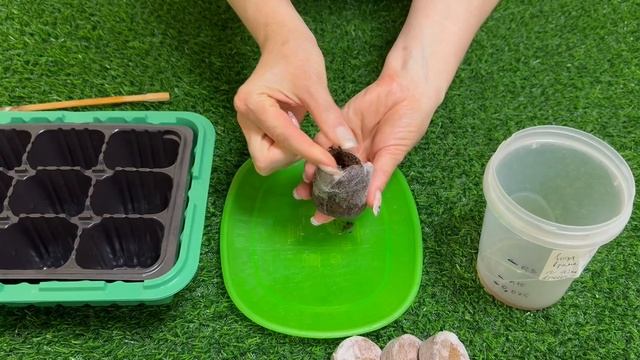 Торфяная таблетка для рассады. В наборе 50 шт или 768 шт