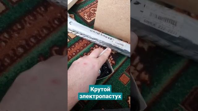 Большой выбор электропастухов https://xn----8sbnuduifnegm0a3h.xn--p1ai/ #животноводство #goat