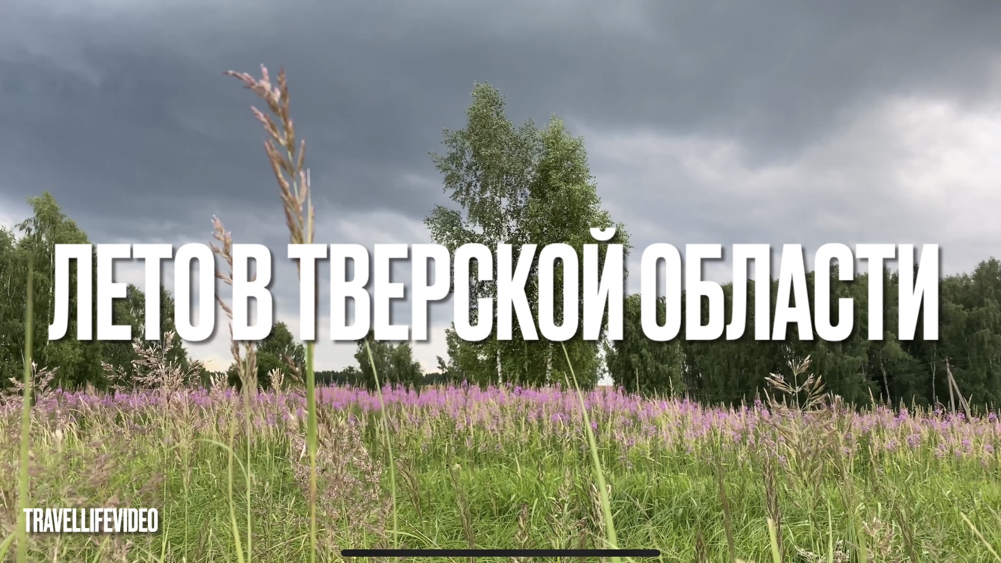 Прекрасное лето в Тверской области