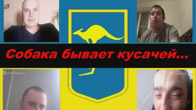 Собака бывает кусачей...