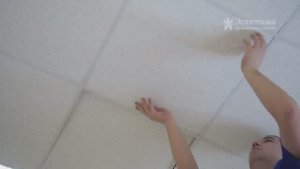 О нас | Эстетика Ремонта ®