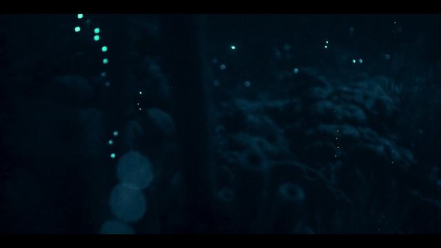 Наши океаны 3 серия «Атлантический океан» (документальный сериал, 2024)