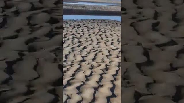 Кокшайск, март 24 года