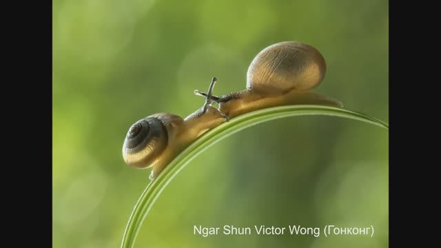 Об итогах Travel Photographer of the Year 2022. Архив