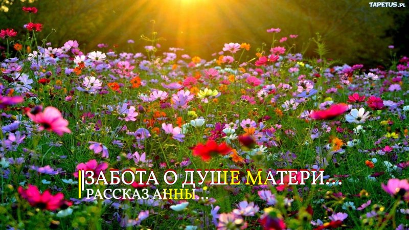 ЗАБОТА О ДУШЕ МАТЕРИ…рассказ Анны