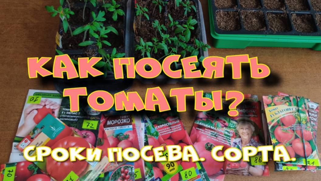 ПОСЕВ ТОМАТОВ НА РАССАДУ. ОБЗОР СОРТОВ. СРОКИ ПОСЕВА.
