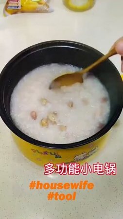 Multifunctional small electric cooker. Just put the food in the pot