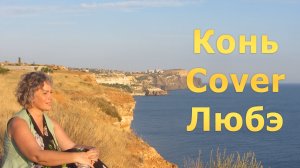 Конь