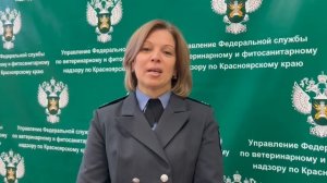 Могут ли у собственника отобрать сельскохозяйственный земельный участок?