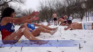 МОРЖИ СТОЛИЦЫ  в репотраже NTD (немецкий телеканал) 2016