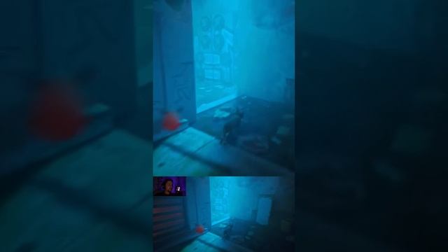 stray #gameplay #головоломки #игра #пк #stray