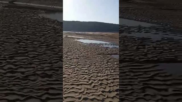Кокшайск, весна 24 года, мель.