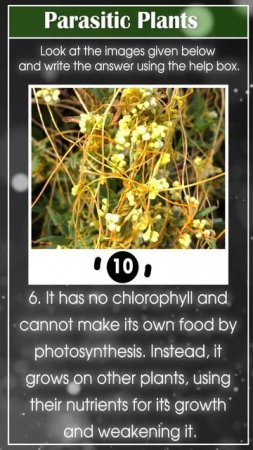 Cannot Make It's Own Food | Parasitic Plants