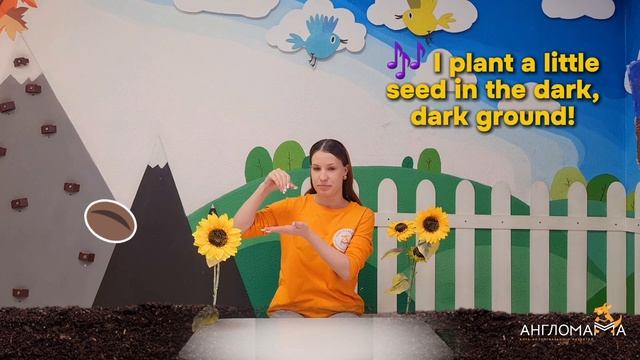 I plant a little seed - finger play