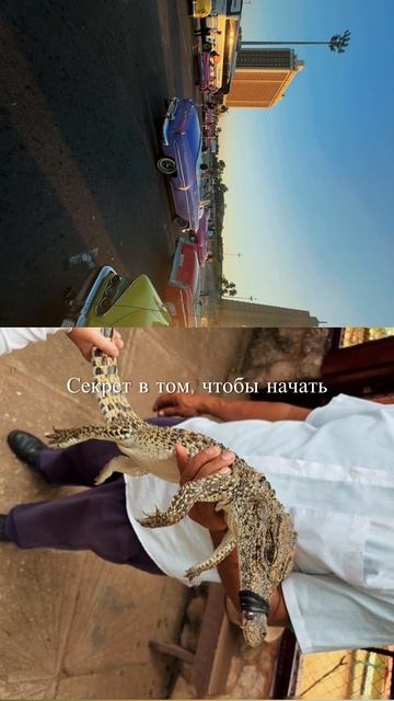 Каждый день важен