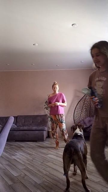 Tcenniy Prize Poker 10 m, дрессировка щенка.