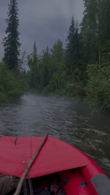 День 5. Таежная экспедиция по Енисею и его диким притокам в Красноярском крае. #fishing #рыбалка