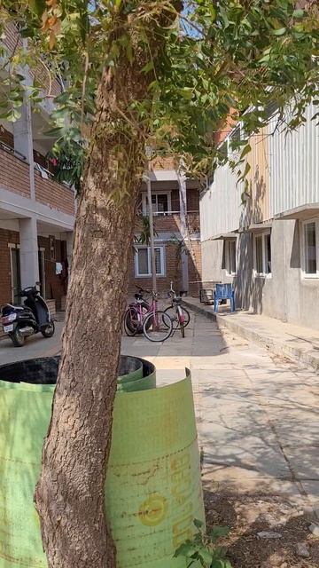 Индия
оранжерея