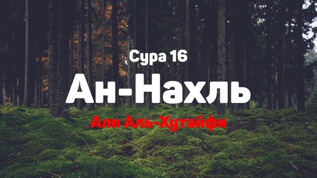 Сура 16 Ан-Нахль - Али Аль-Хутайфи