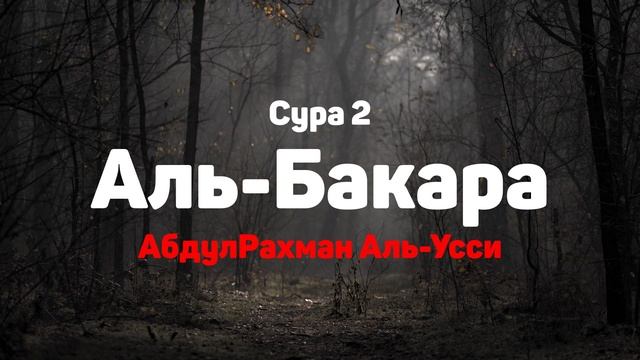 Сура 2 Аль-Бакара - АбдулРахман Аль-Усси