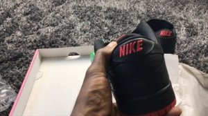 Black Nike SB Pigeon | Onfoot
