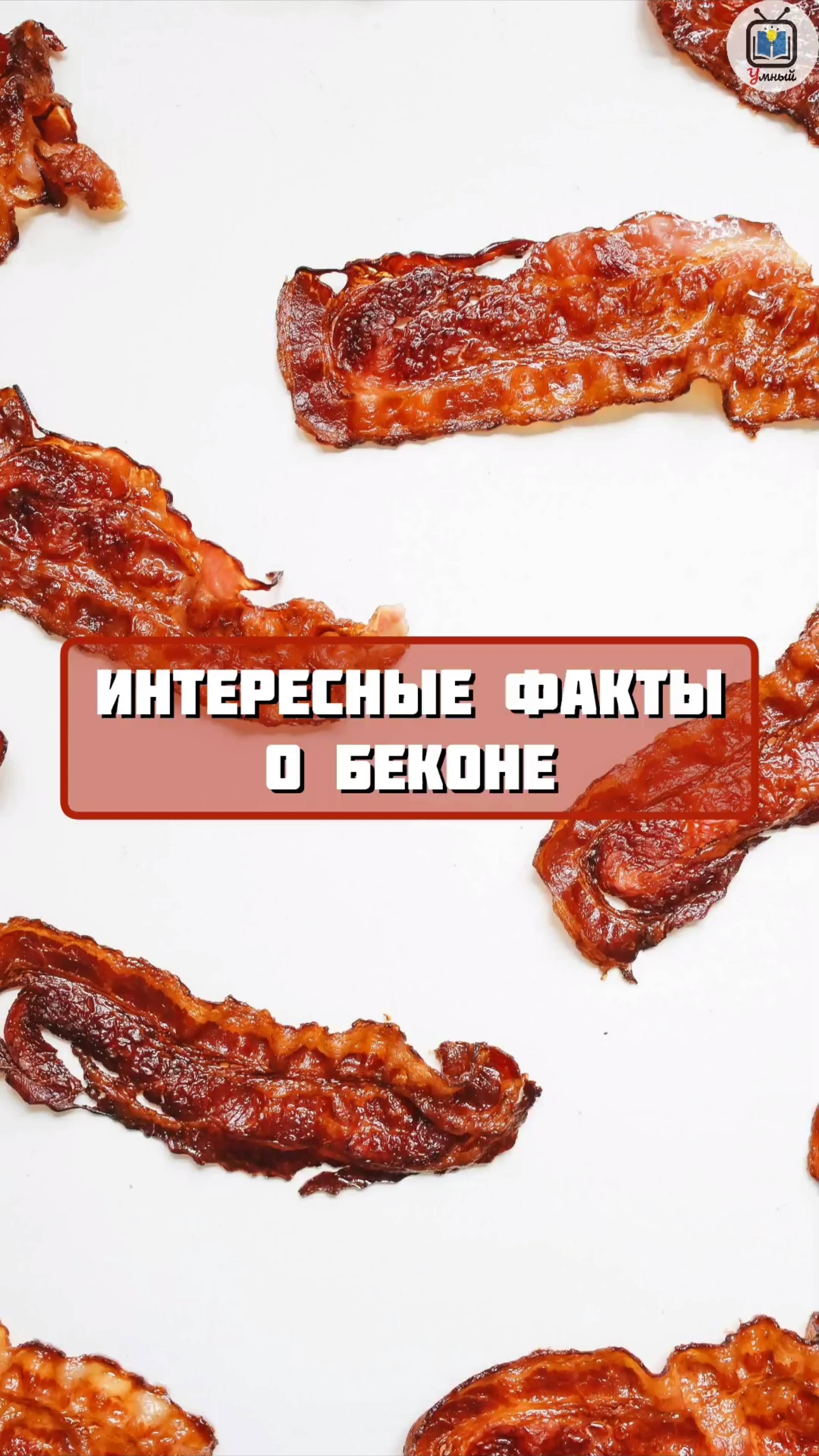 Всё что нужно знать о беконе #интересно #факты #еда