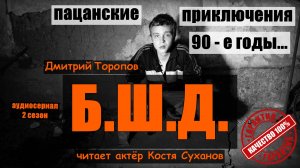 #13 / Аудиокнига Б.Ш.Д. / Приключения в 90 - е / За забором интерната / читает актер Костя Суханов.