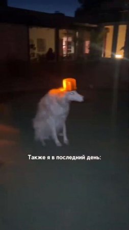 Да, было #школашитья #курсышитья #юмор