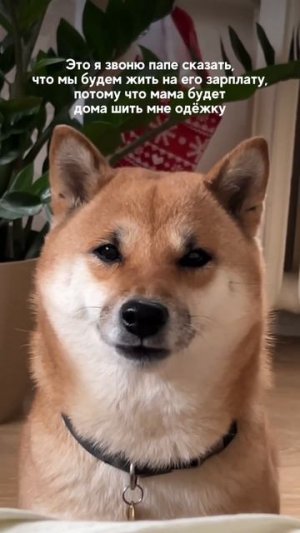 Важный звонок