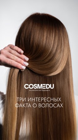 Три интересных факта о волосах