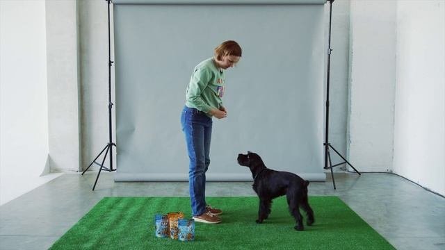 Holly&Jolly - вкусные игры, урок 9