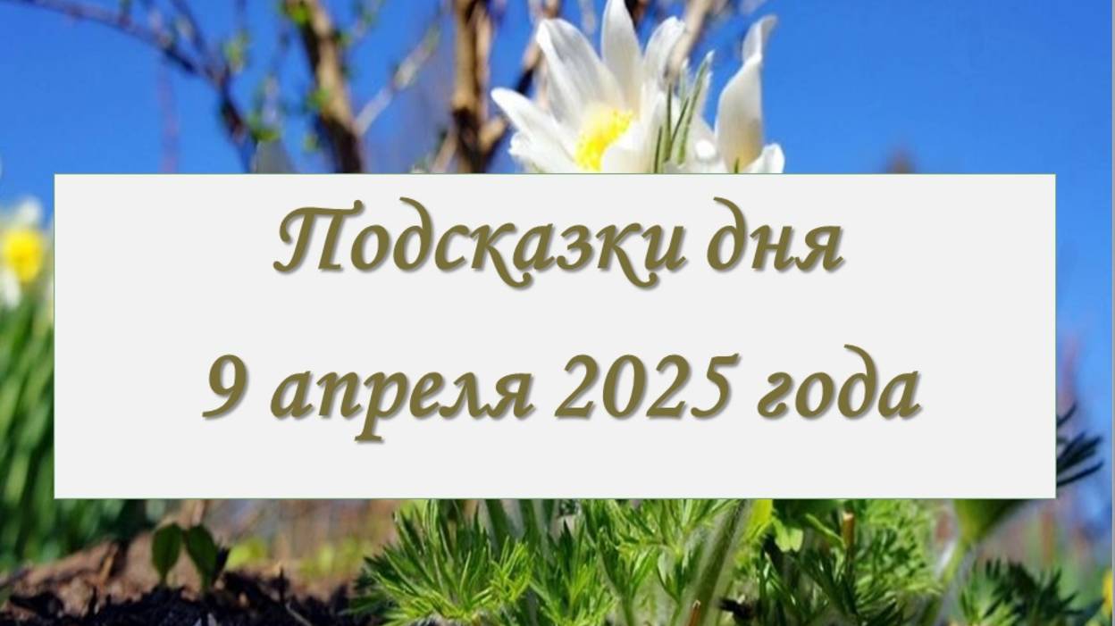 Гороскоп на 9 апреля 2025 года (общий, по показателям дня)