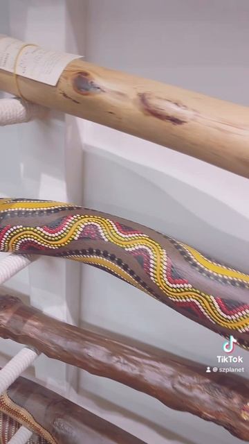 Австралийские Аборигенские Музыкальные Инструменты- Didgeridoo 🎵  @volanicky #музыкальныйма