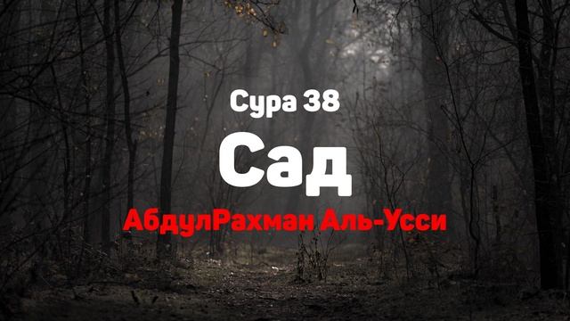 Сура 38 Сад - АбдулРахман Аль-Усси