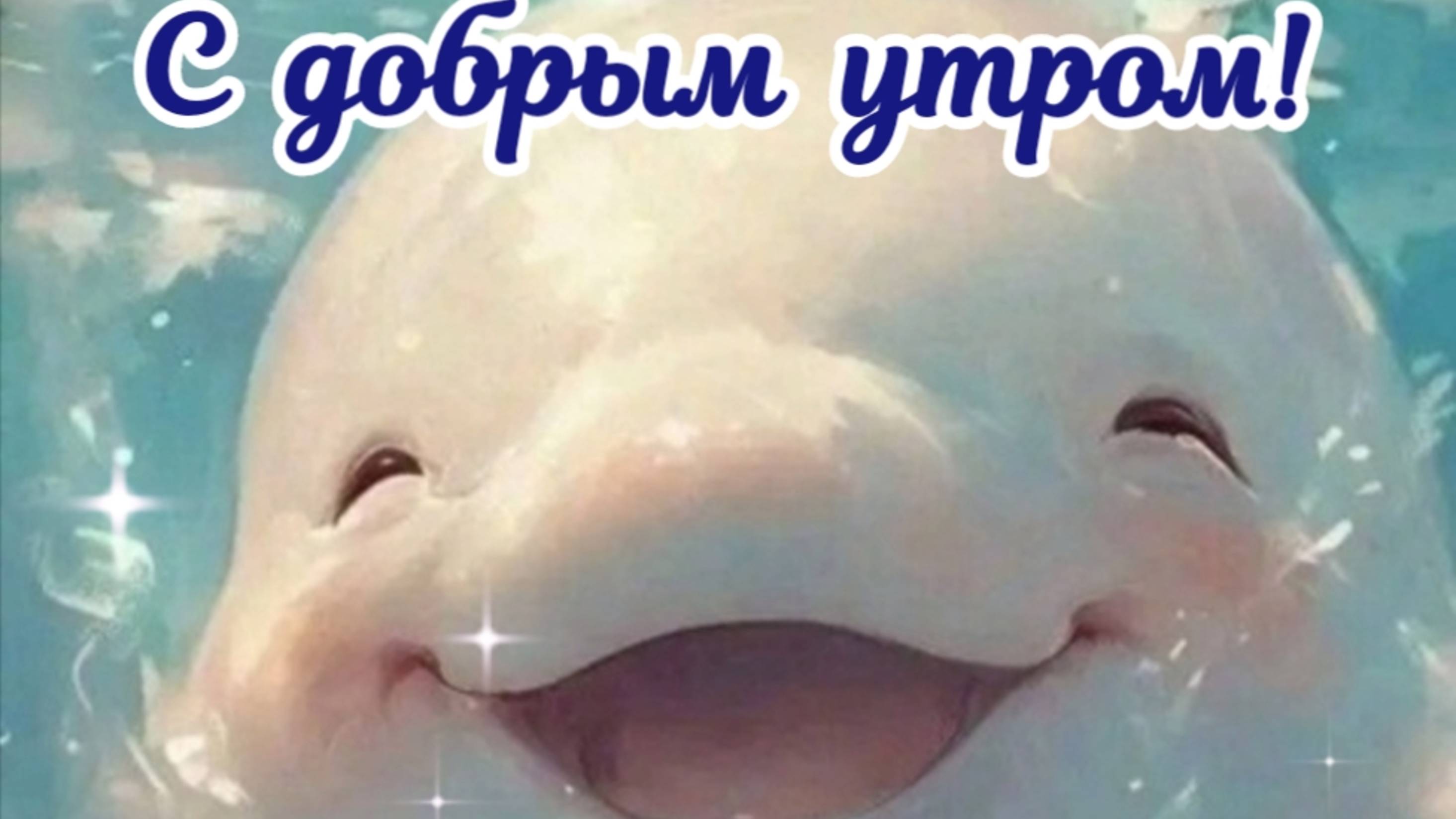 С добрым утром! Пожелания с добрым утром.
