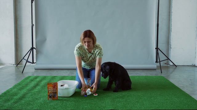 Holly&Jolly - вкусные игры, урок 11