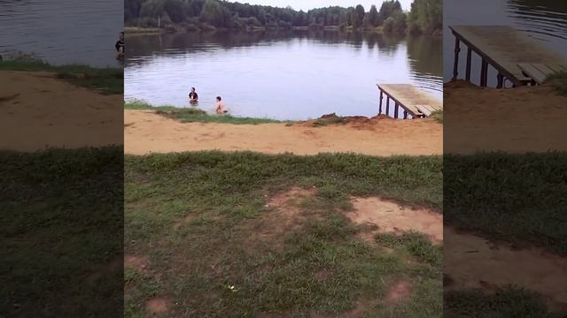 Волхонка глазами птиц #shorts video