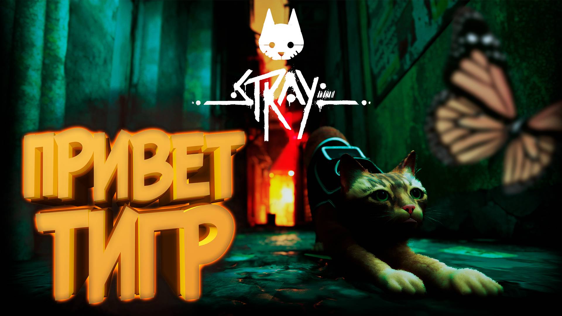 #1 Stray: Потерянный тигр в роботизированном городе (Часть первая)